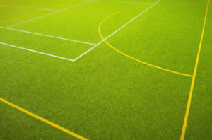 Austin TX Artificial Grass Lawns, Pet Turf, Putting Greens | SYNLawn